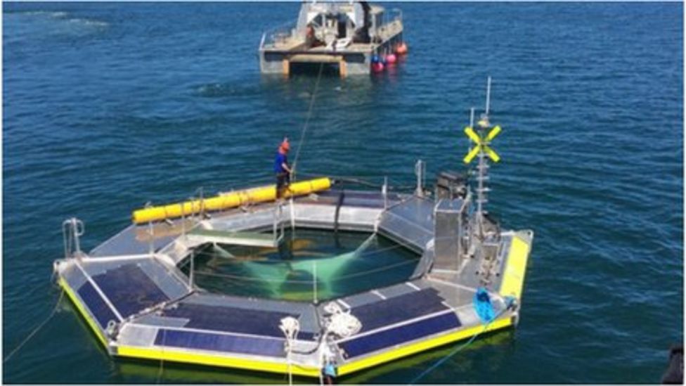 Hayle Wave Hub to get first energy device - BBC News