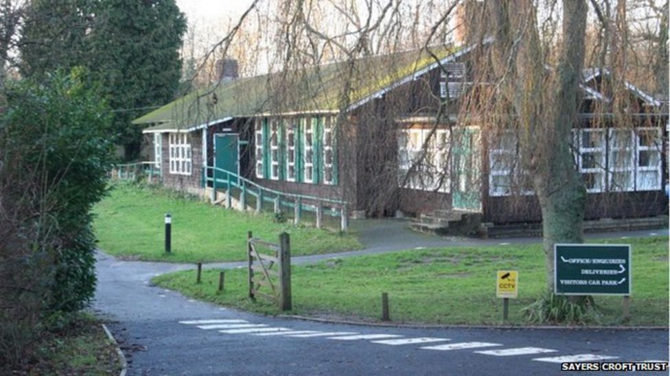 Sayers Croft children join fight to stop housing development - BBC News