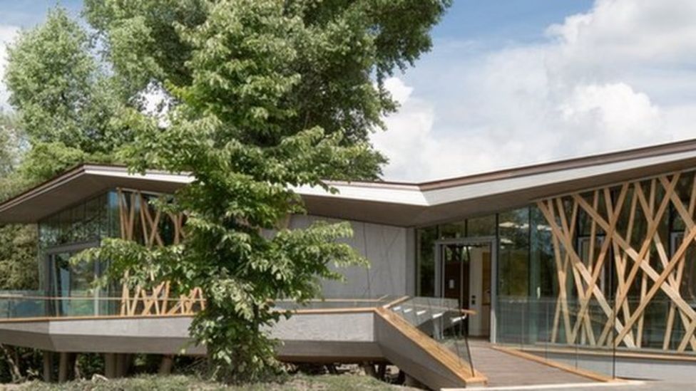 Sobell House Hospice postcard art to raise funds for nurses - BBC News