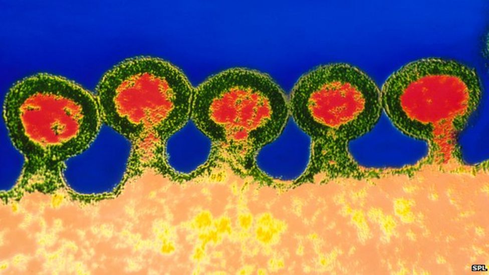 'Exciting' drug flushes out HIV - BBC News