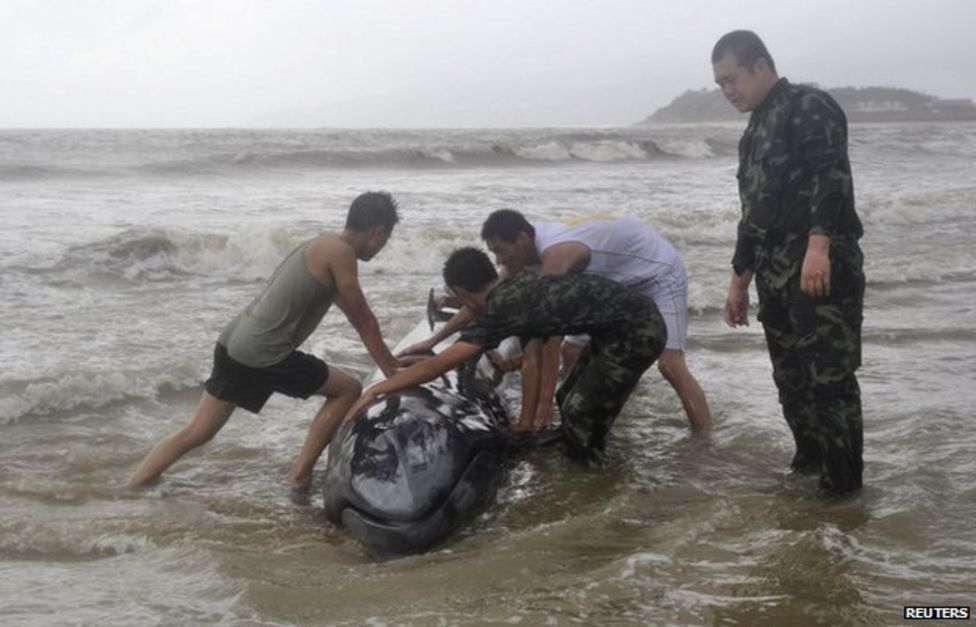Typhoon Rammasun: Monster storm buffets south China - BBC News