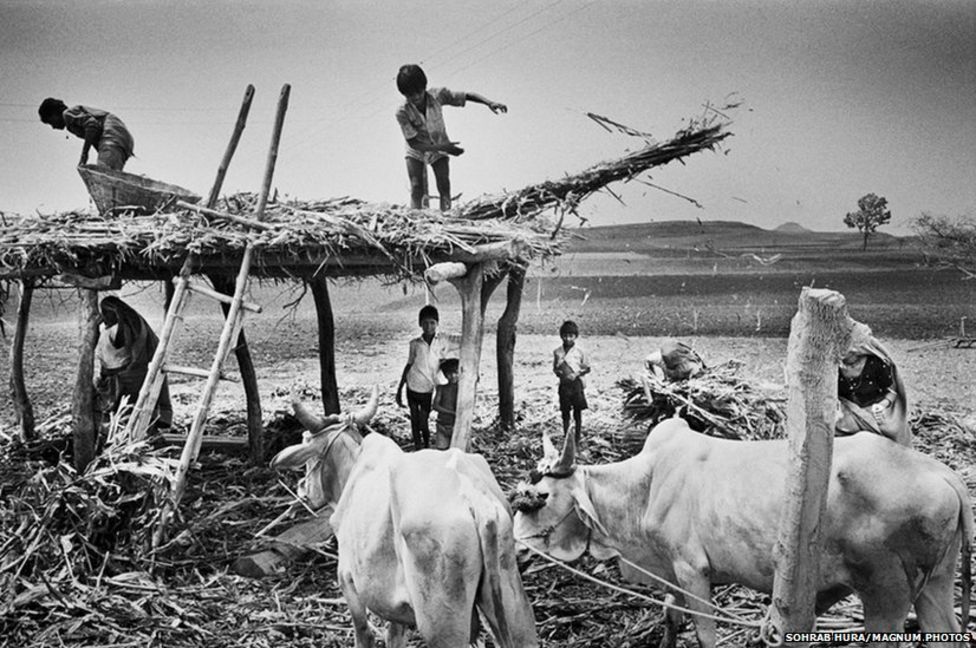 In pictures: Life in denuded India villages - BBC News