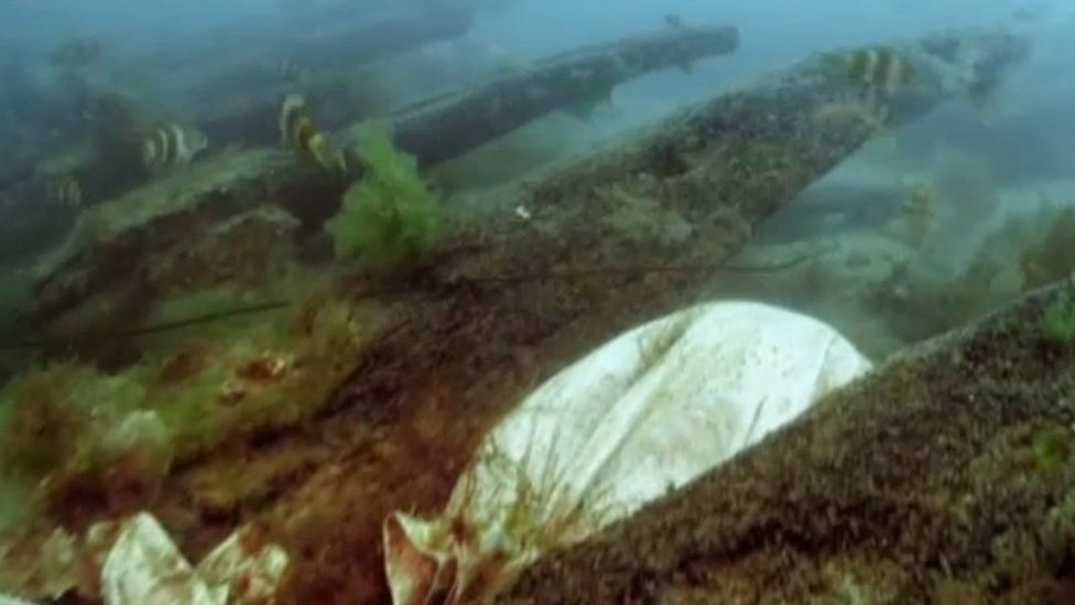 Poole Swash Channel Wreck: Artefacts go on show - BBC News