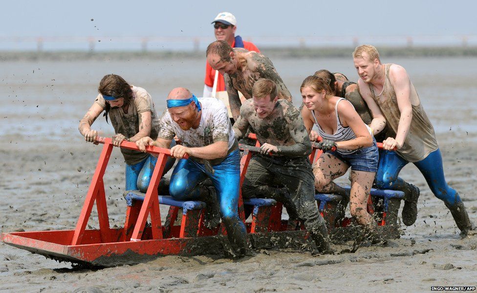 Week in pictures: 19-25 July 2014 - BBC News