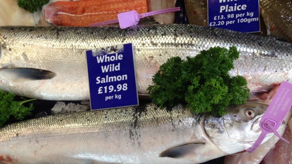 Record year for fish releases in England's rivers - BBC News