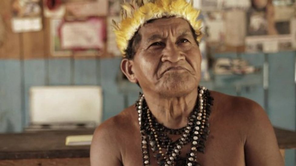 Brazil Amazon loggers arrested - BBC News