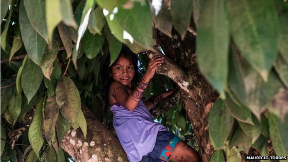 Amazon tribe fights Brazil dam project - BBC News