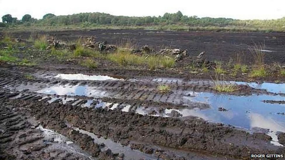 Lindow Man: Gruesome discovery who became 'international celebrity ...
