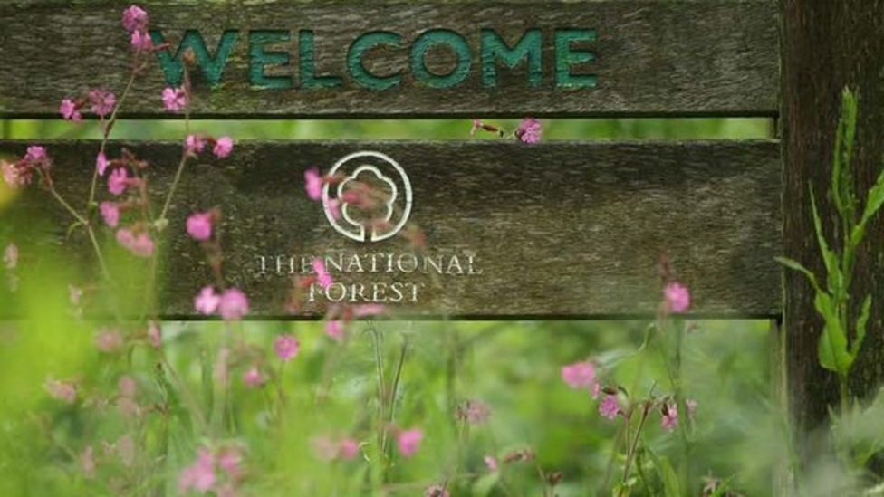 National Forest celebrates 25 years - BBC News