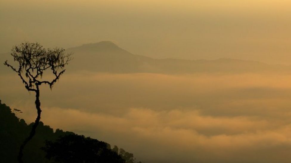 Sam Greatrex: Halesowen man prepares for Atlantic row - BBC News