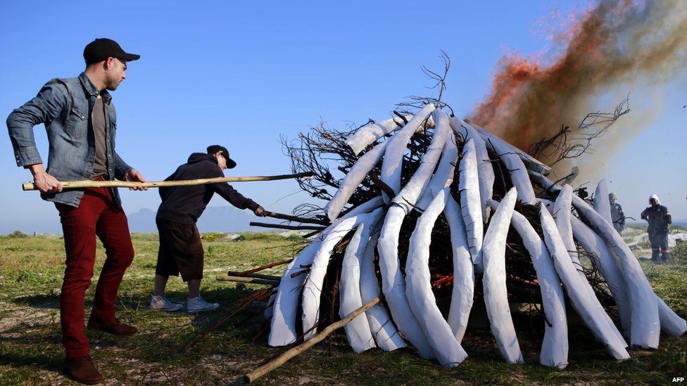 Africa in pictures: 8-14 August 2014 - BBC News