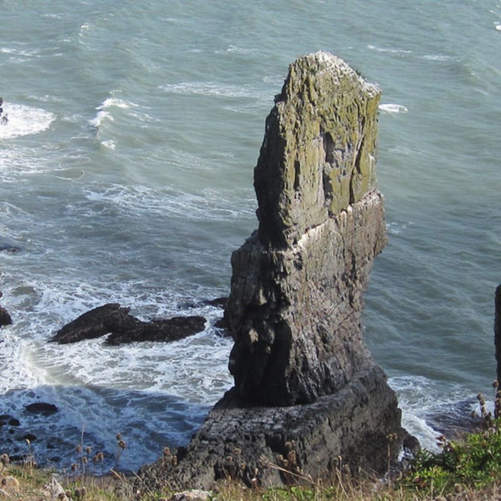 Your Pictures: Photos from Wales - BBC News