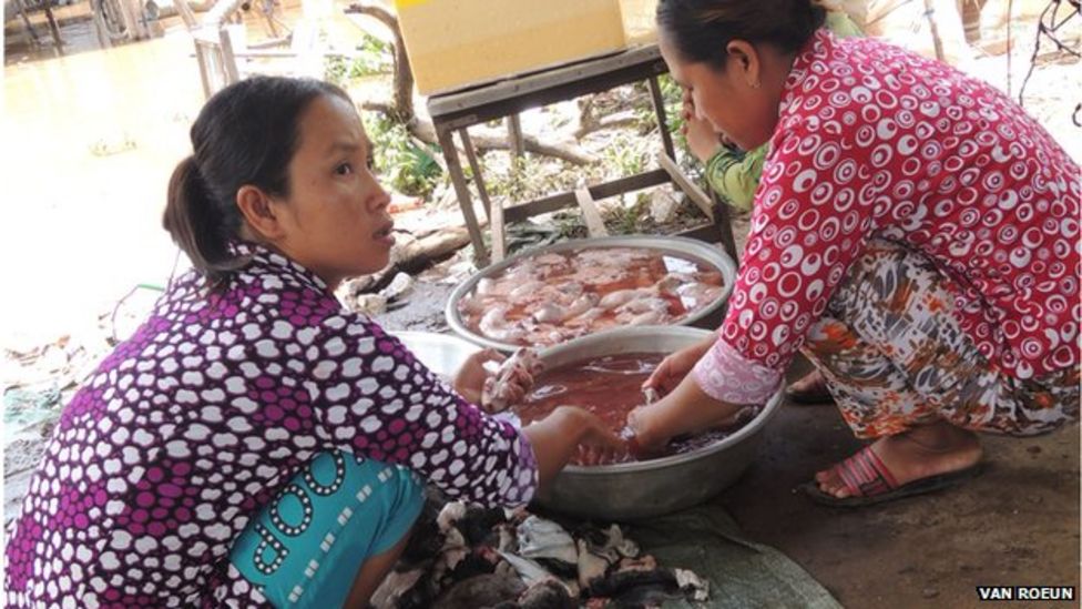 Cambodian rat meat: A growing export market - BBC News
