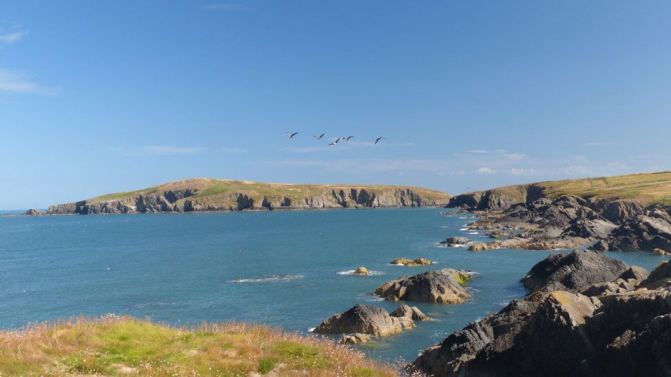 Your Pictures: Photos from Wales - BBC News