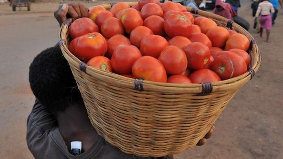 Climate deadline looms for African food crops - BBC News
