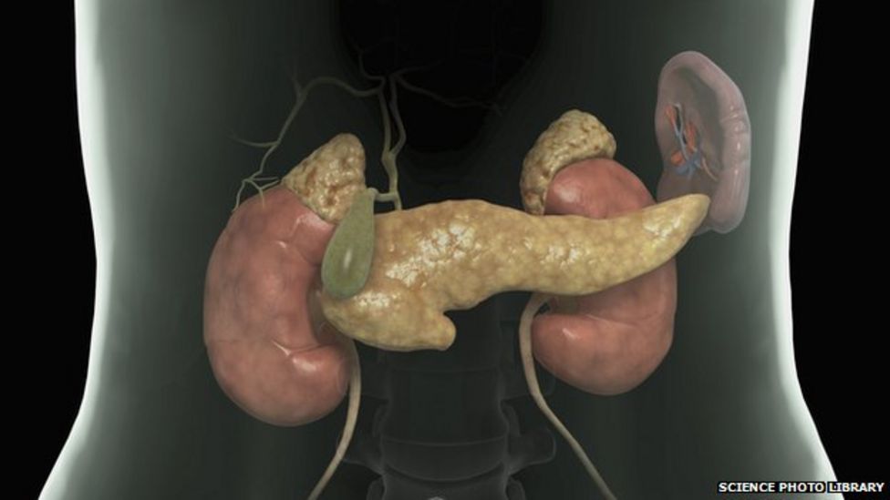 Emas paramedic error led part of pancreas to 'die off' - BBC News