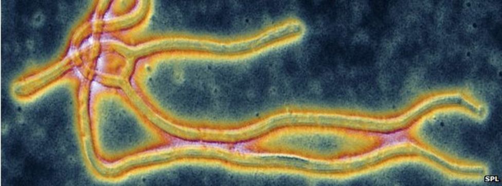 Ebola: How bad can it get? - BBC News