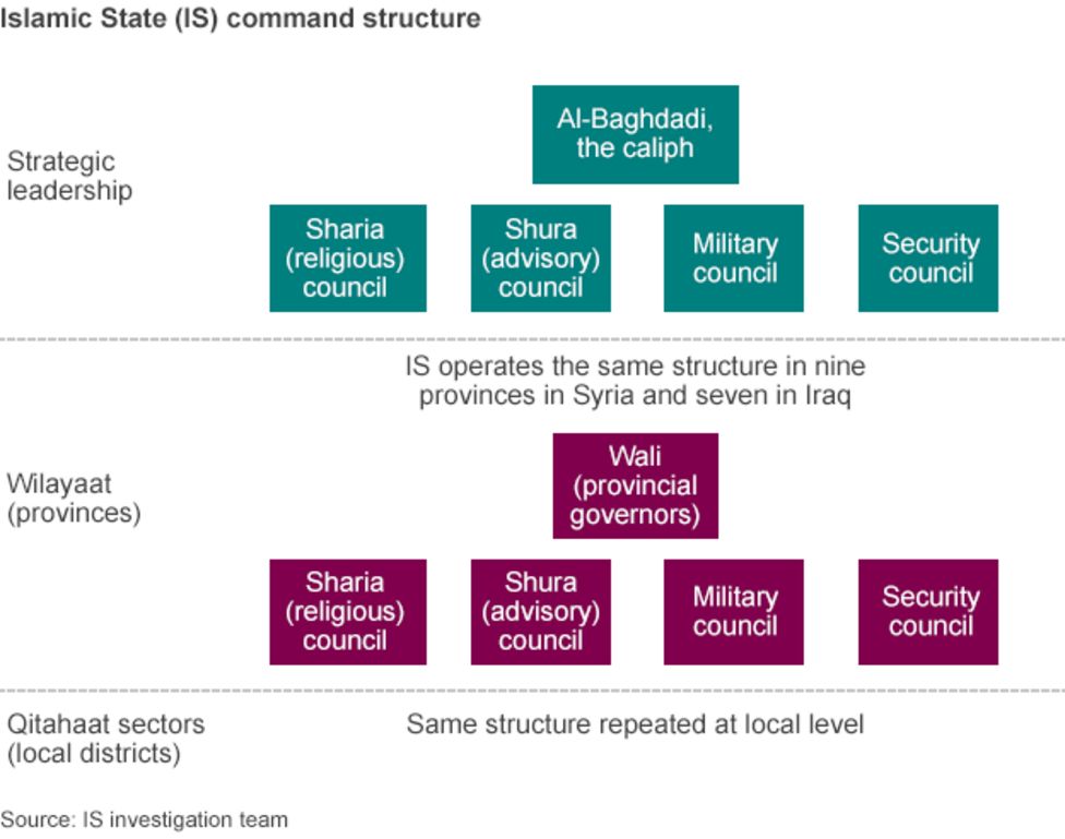 Islamic State: How it is run - BBC News