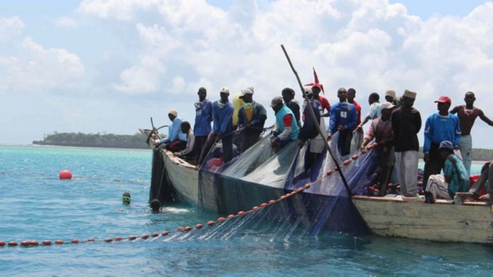 Blast fishing destroying Tanzania's marine habitats - BBC News