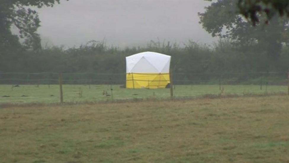 Pennie Davis death: Court case revealed secrets of New Forest family ...