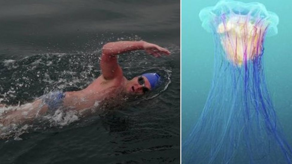 Extreme swimmer recounts dramatic North Channel rescue - BBC News