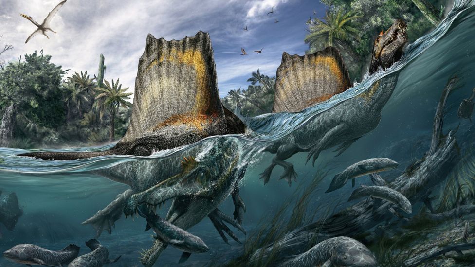 Mystery of dinosaur with giant arms solved - BBC News
