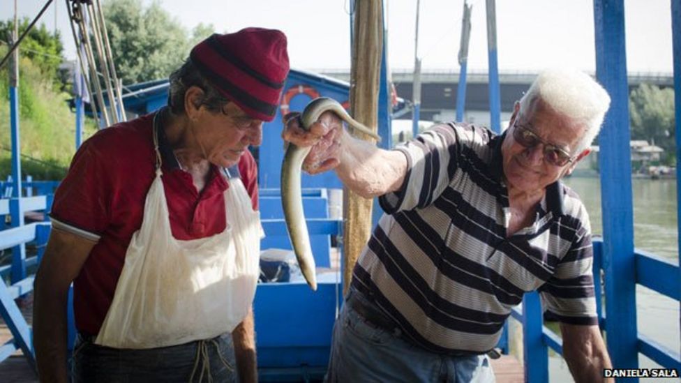 The last eel catcher of Rome - BBC News