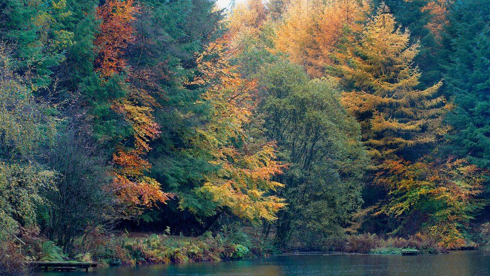 Your photos of Autumn colour - BBC Weather