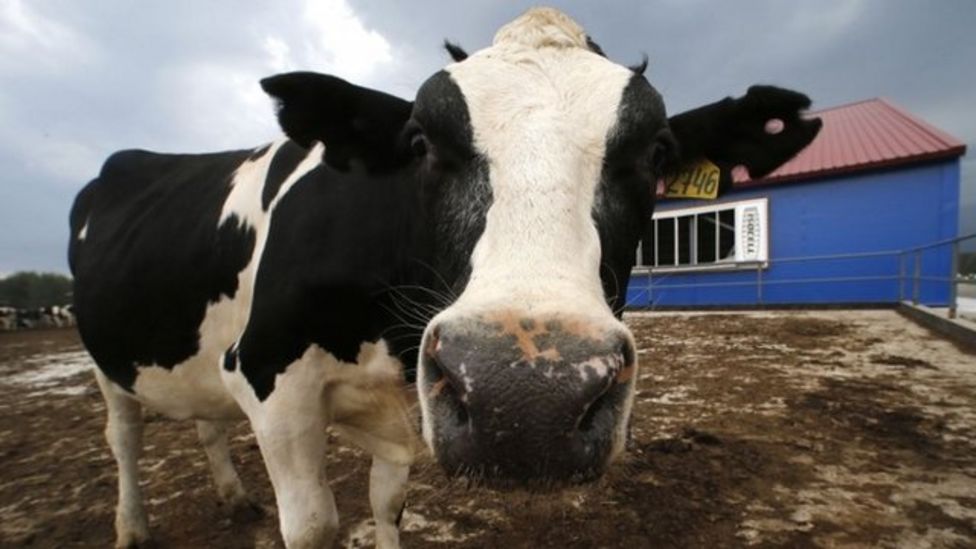 Bridgwater milk protest sees farmers block Morrisons depot - BBC News