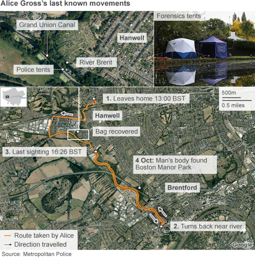 Alice Gross: Timeline of the Met police investigation - BBC News