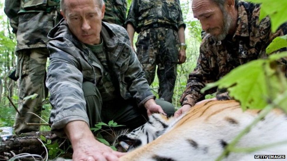Tiger released into wild by Vladimir Putin crosses into China - BBC News