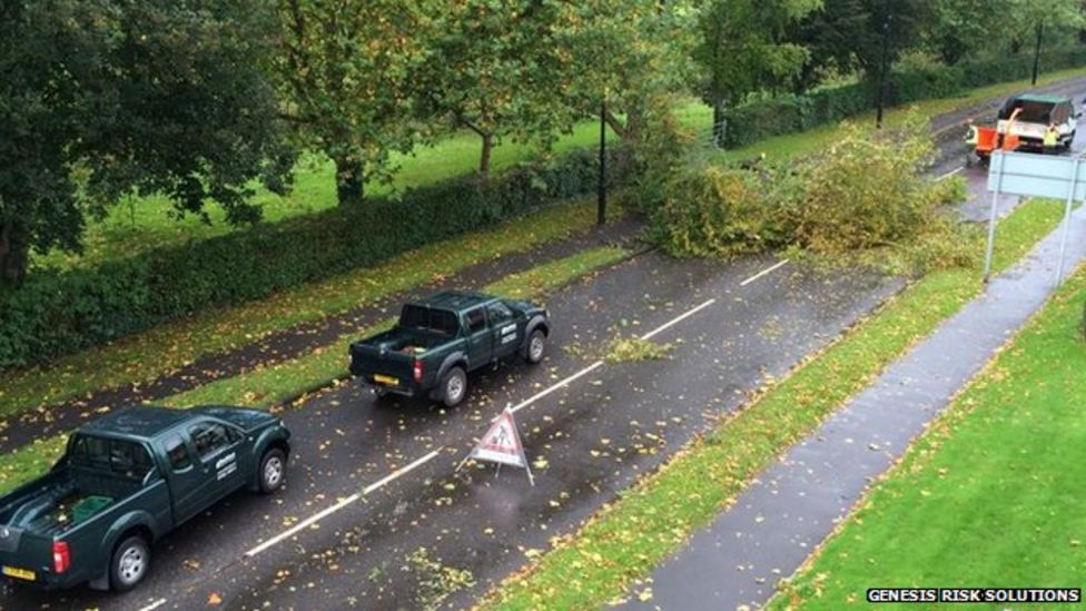 UK severe weather: Woman dies and others injured in high winds - BBC News