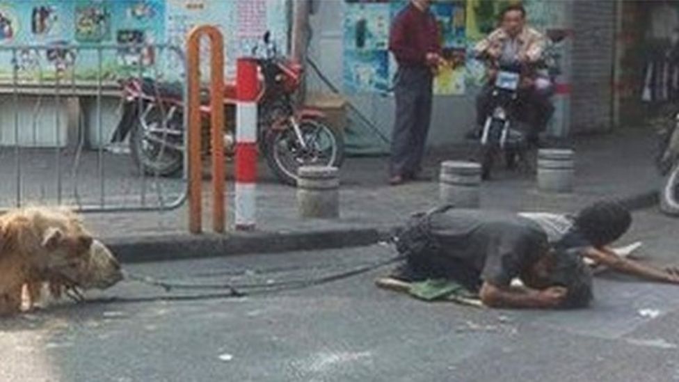 #BBCTrending: Camel abuse sparks outcry in China - BBC News