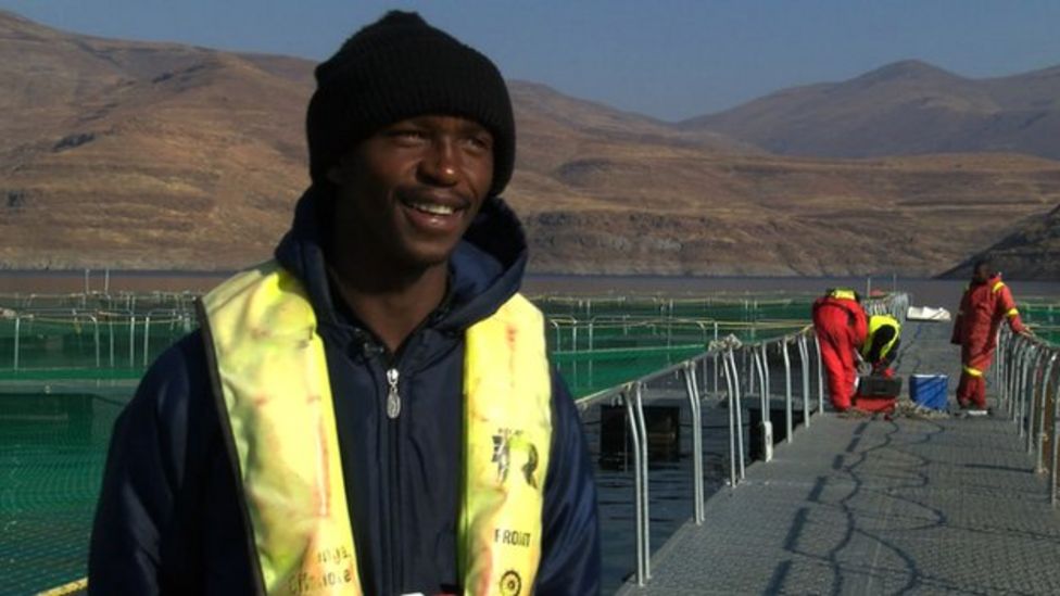 Trout farming in land-locked Lesotho is an export success - BBC News
