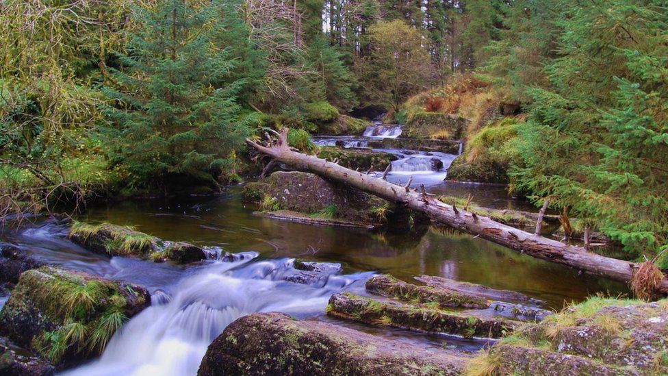 Your Pictures: Photos from Wales - BBC News