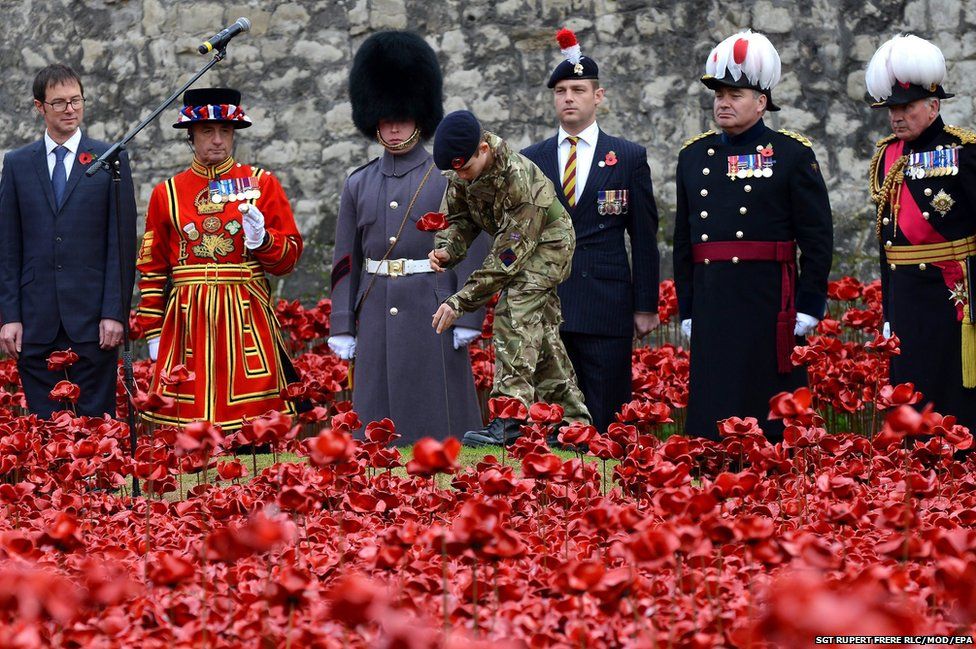 Week in pictures: 8-14 November 2014 - BBC News