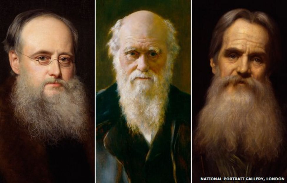 The great Victorian beard craze - BBC News