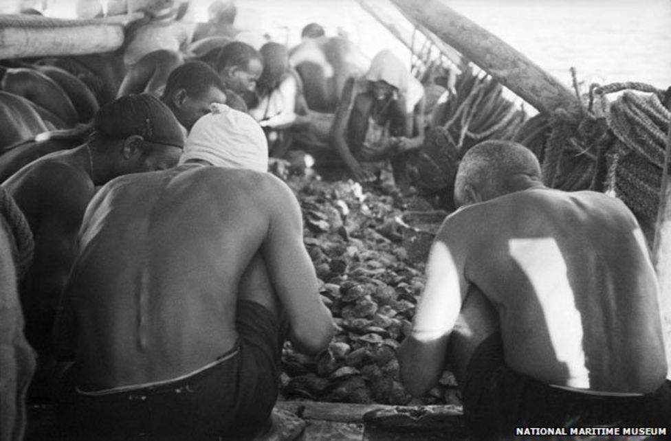 The pearl fishers of Arabia - BBC News
