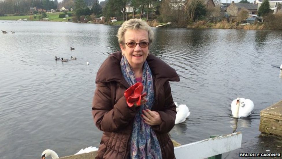 Tower poppy: How you plan to display your poppy - BBC News