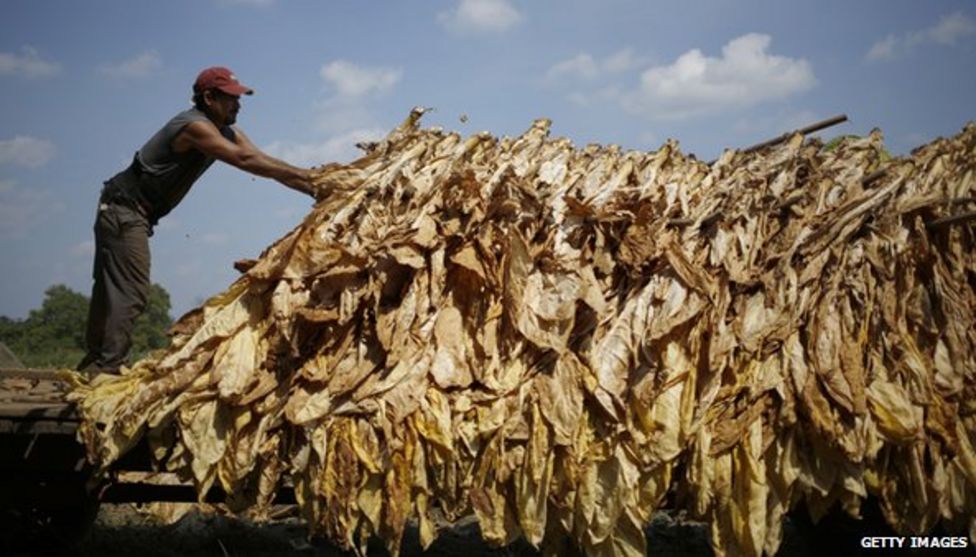 US economy: will immigration reform help the recovery? - BBC News