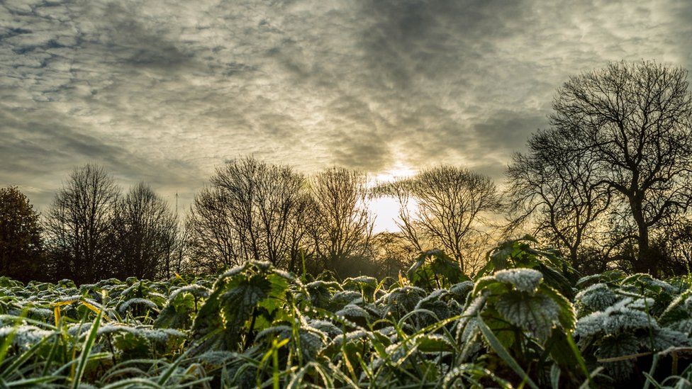 Your frosty photos - BBC Weather