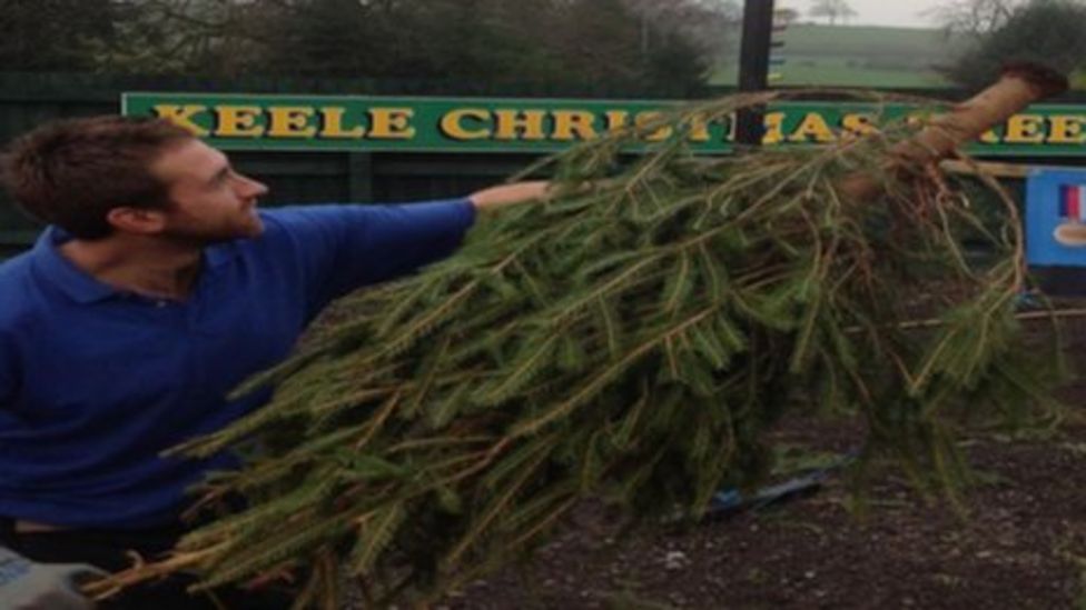 Christmas tree throwing contest held in Ireland - BBC News