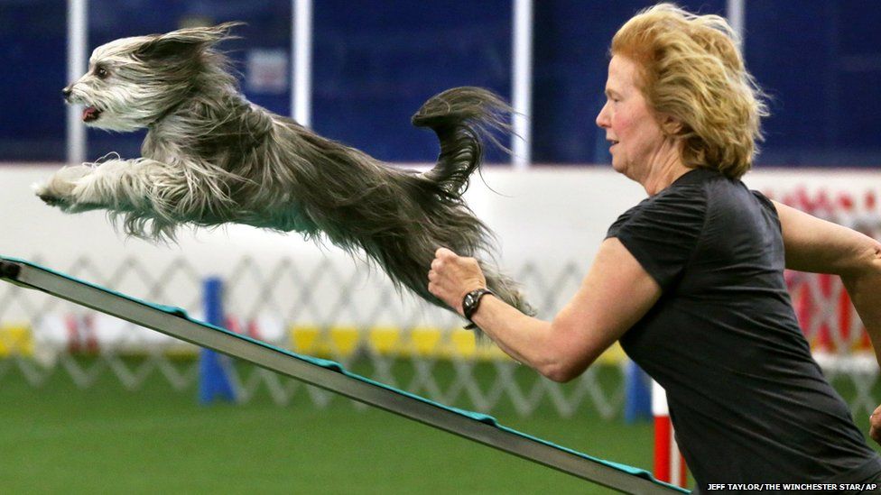 Day in pictures: 1 December 2014 - BBC News