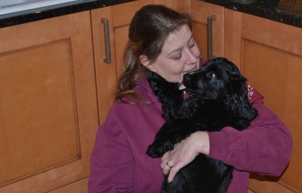 Meet Aster: The first Hearing Dog to be trained entirely in Scotland ...