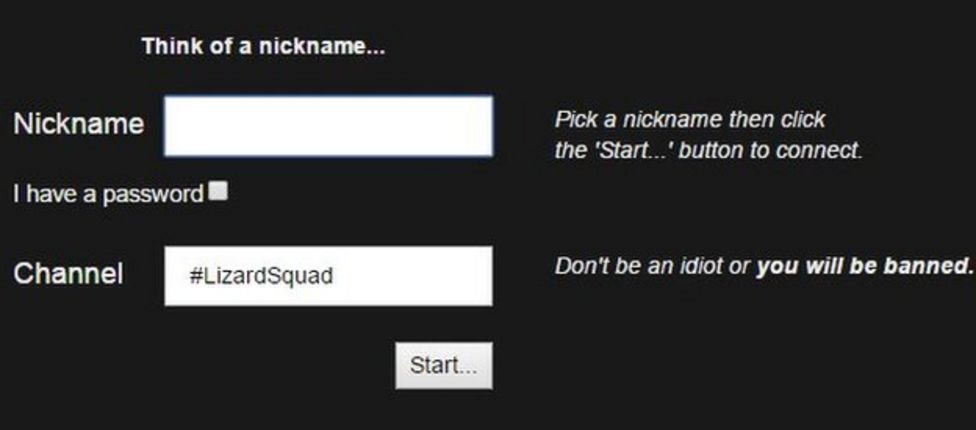 Who are Lizard Squad and what's next for the hackers? - BBC News