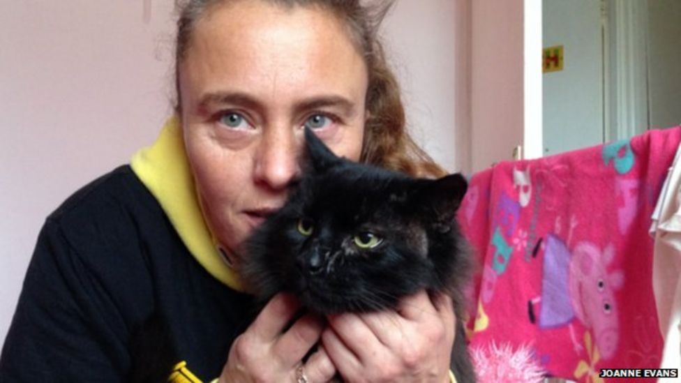 'Stinky' stray Suffolk cat now ruling rescue centre roost - BBC News