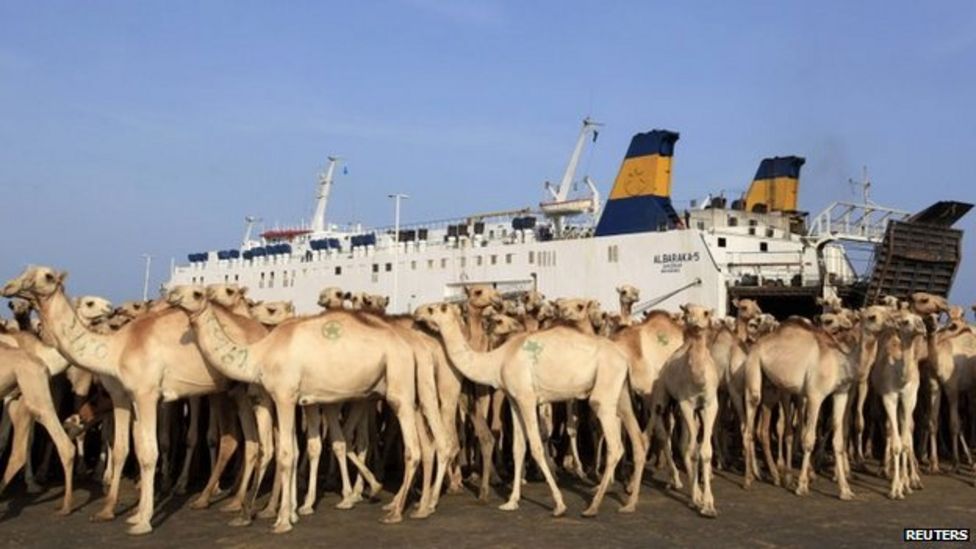 Somalia invites energy companies to explore for oil - BBC News