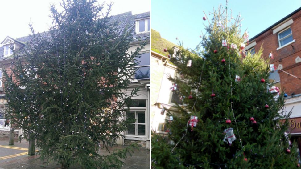 Hopeless Christmas trees spreading more chuckles than cheer - BBC News