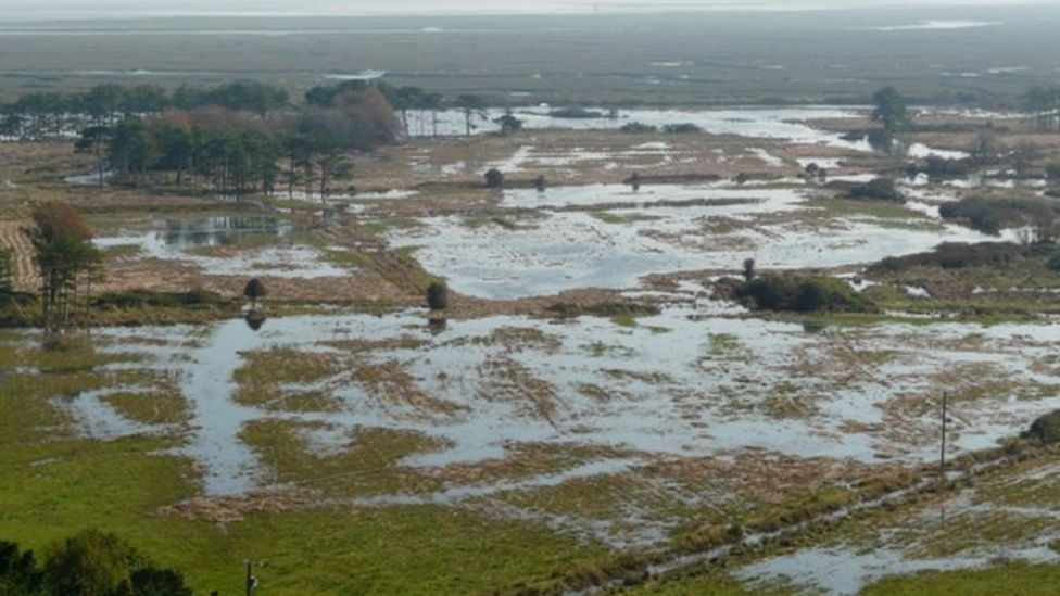 British salt marshes 'to disappear' as sea levels rise - BBC News