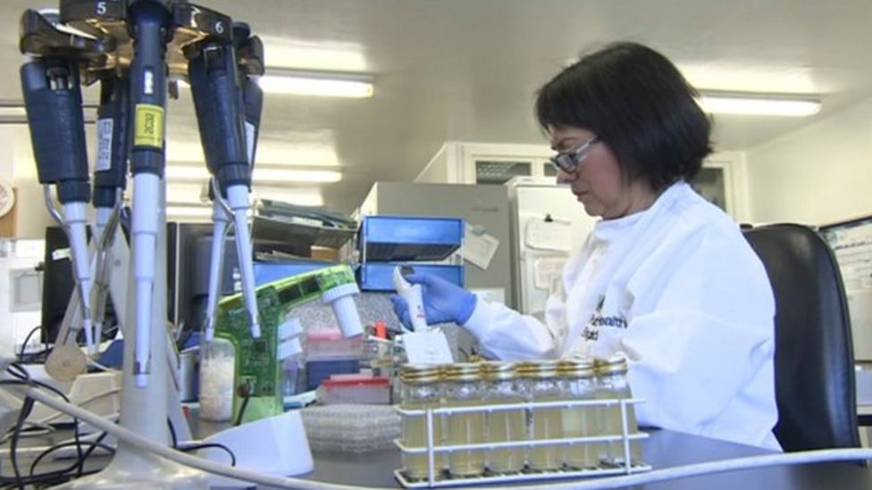 E. coli O55 in Dorset: Two further cases confirmed - BBC News